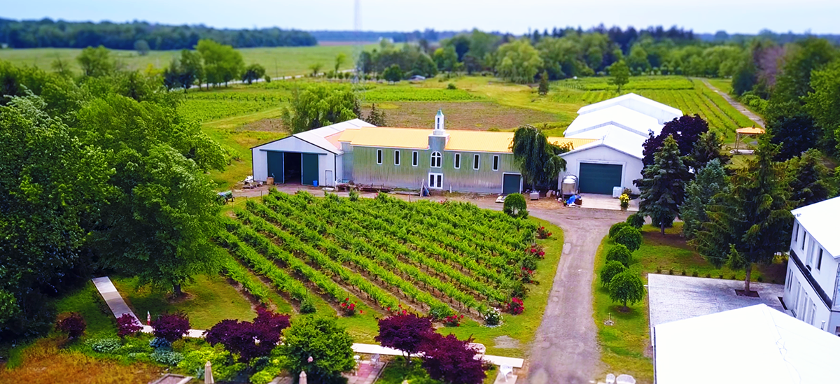 History - Victorianbourg Wine Estate
